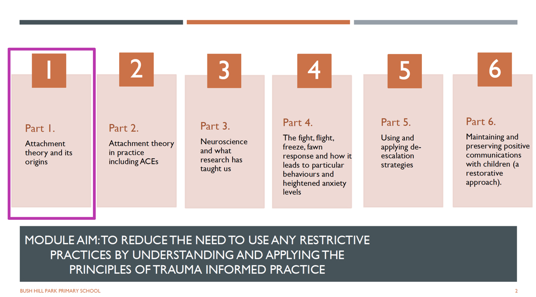 Trauma Informed Practice Training - NFPS Ltd